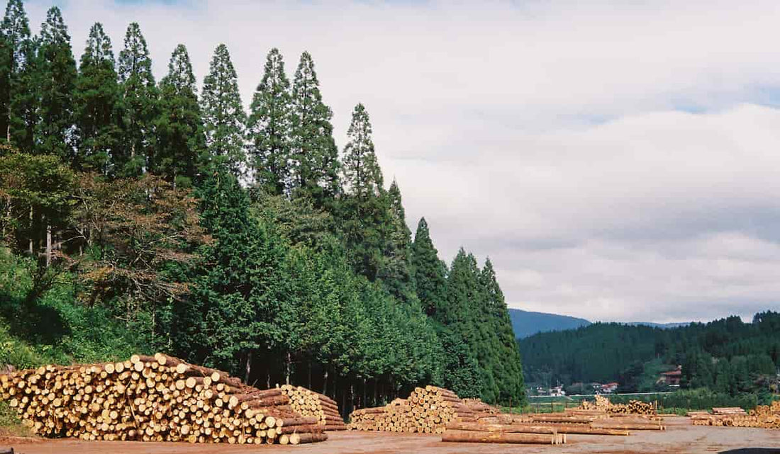 公式オンラインストア | HiKEI